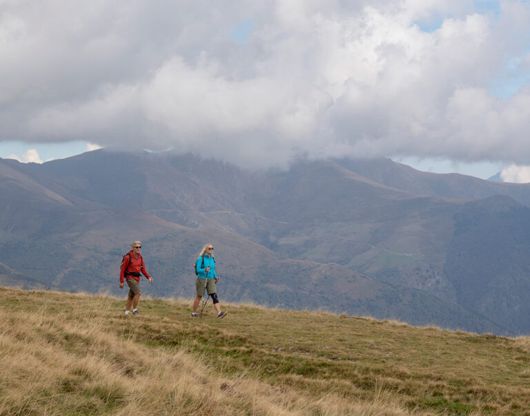 Press - Trice Medical